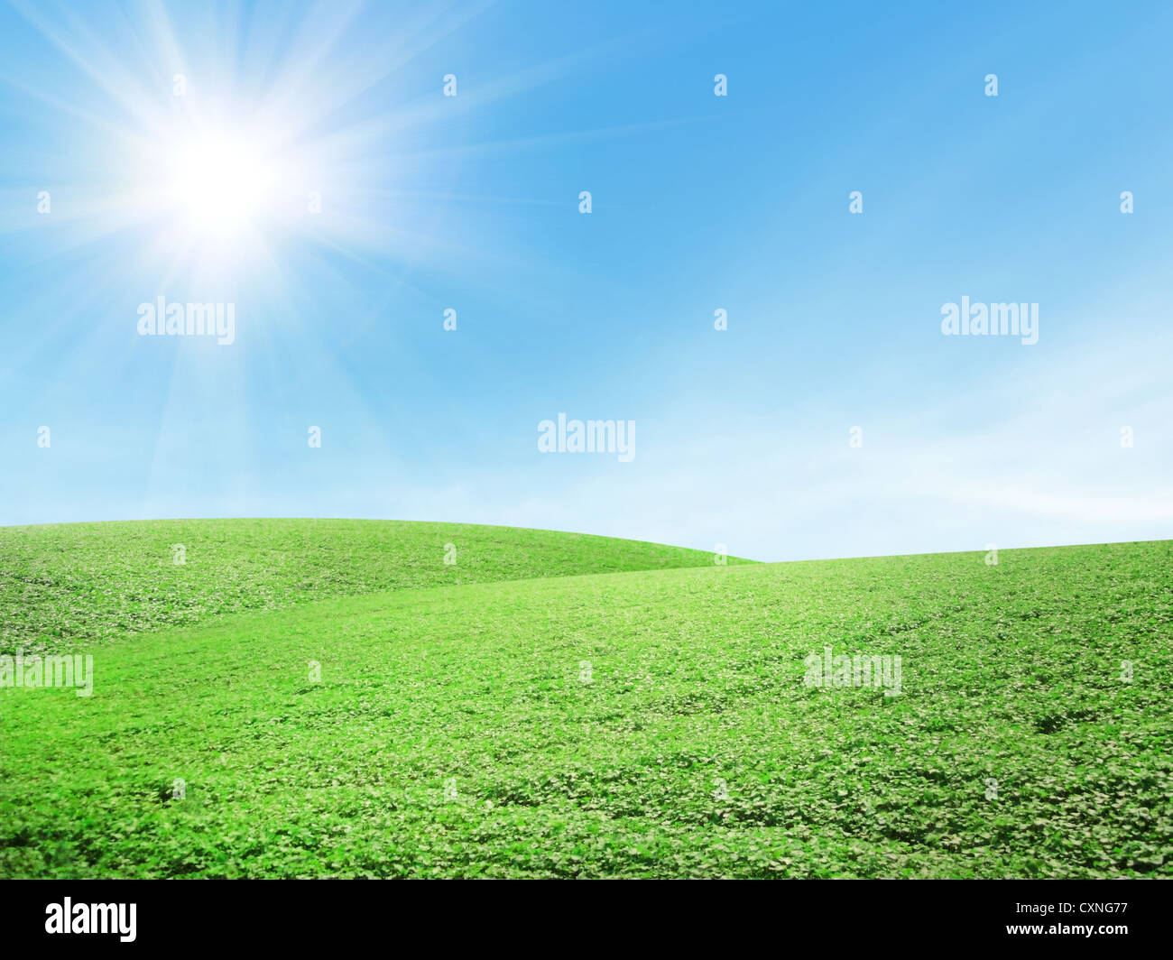 Beautiful summer landscape Stock Photo - Alamy