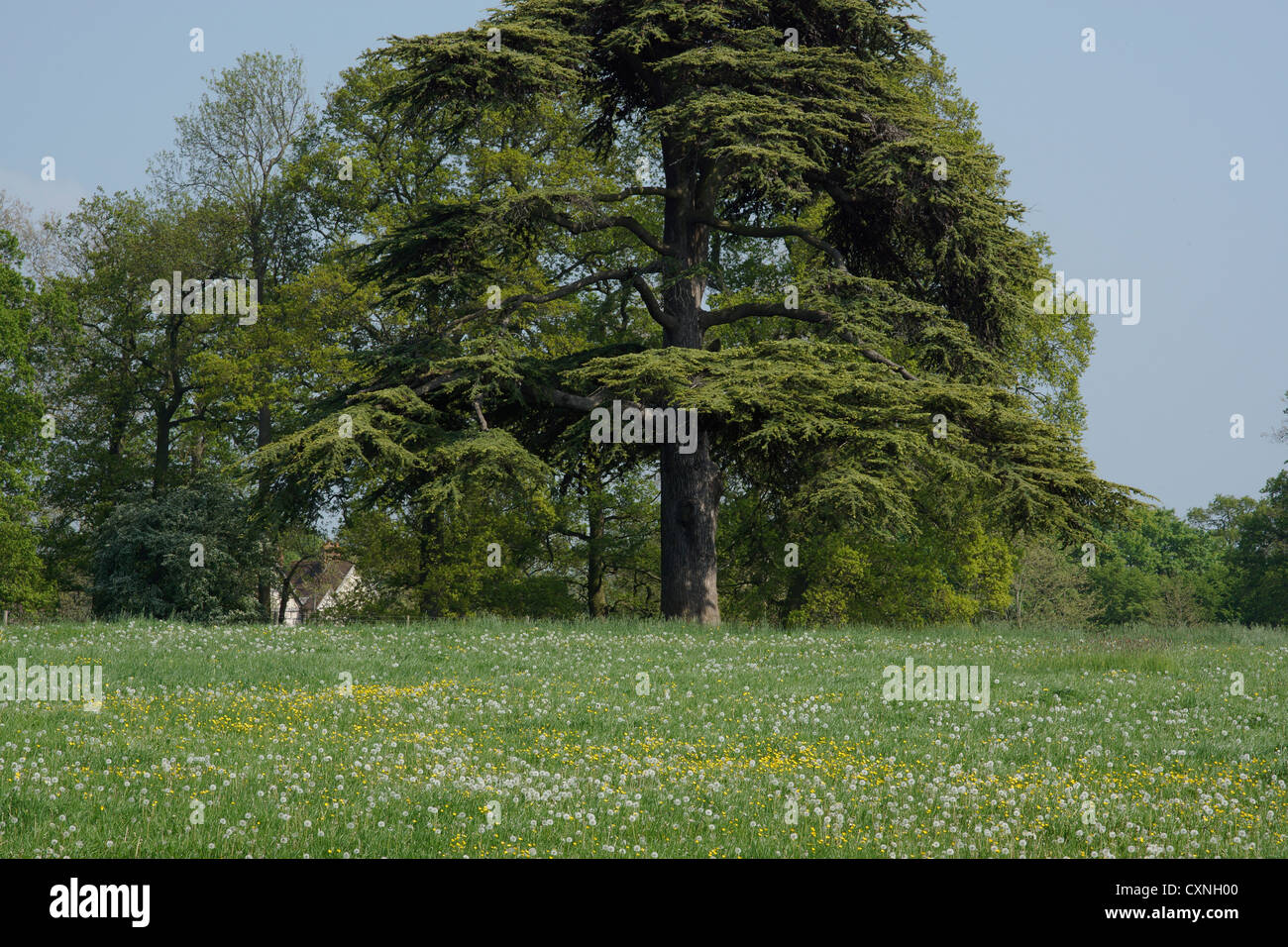 Hanbury hall Worcestershire The Midlands England UK Stock Photo - Alamy