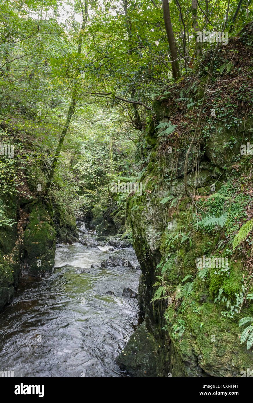 The gorge of the River Devon at Rumbling Bridge, Perth and Kinross ...