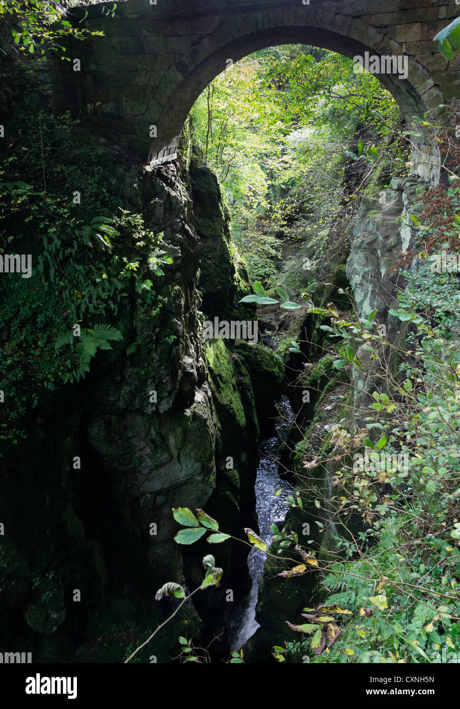 The gorge of the River Devon at Rumbling Bridge, Perth and Kinross ...