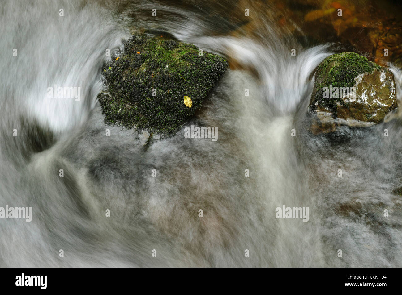 The River Devon rushes through the gorge at Rumbling Bridge near ...