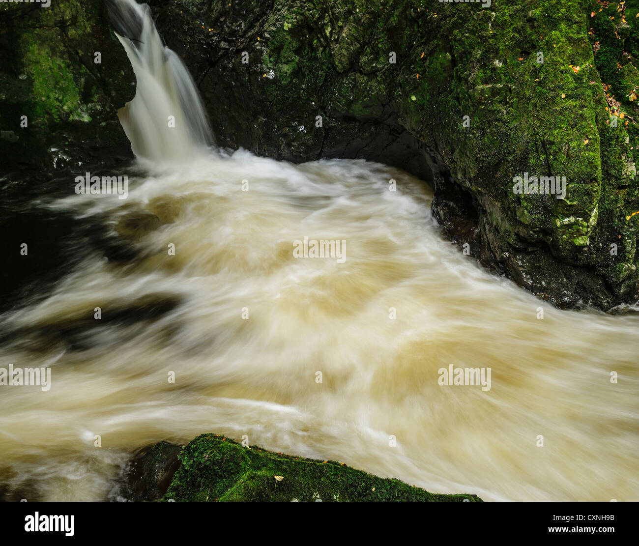Rumbling Bridge Scotland High Resolution Stock Photography and Images ...