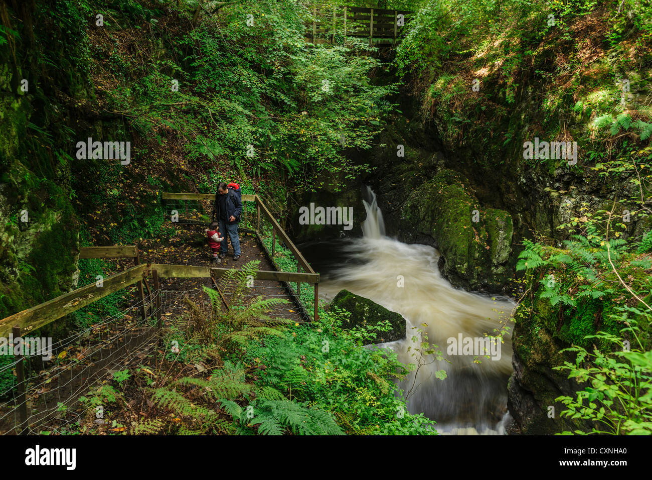 The River Devon rushes through the gorge at Rumbling Bridge near ...