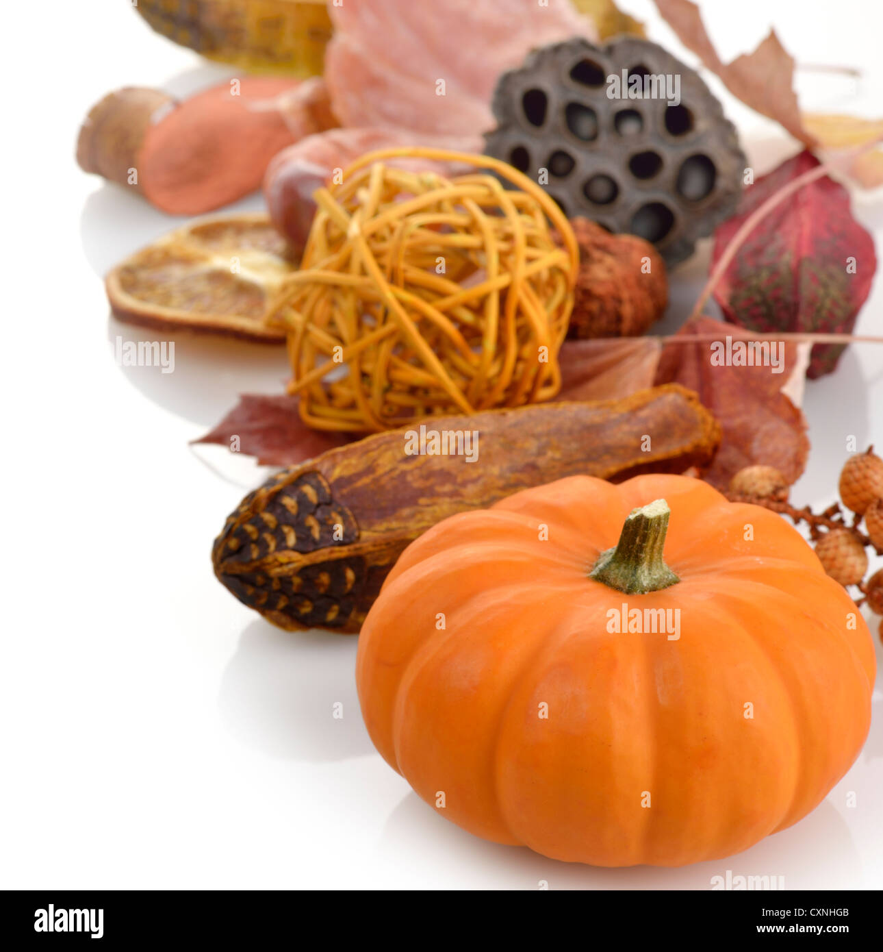 Pumpkin And Fall Items On White Background Stock Photo - Alamy
