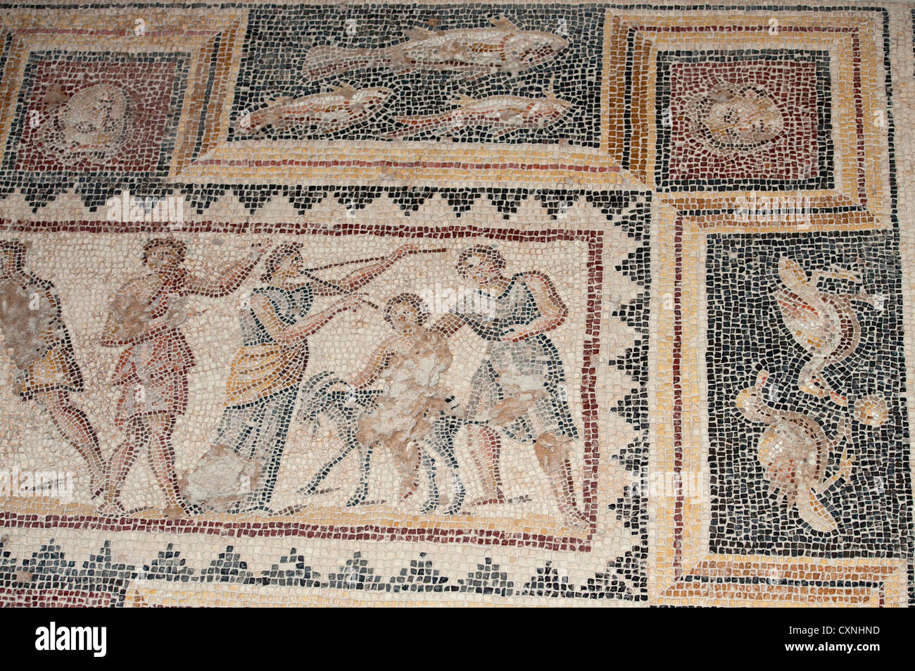 Israel, Lower Galilee, floor mosaic from the mishnaic period at Zippori ...