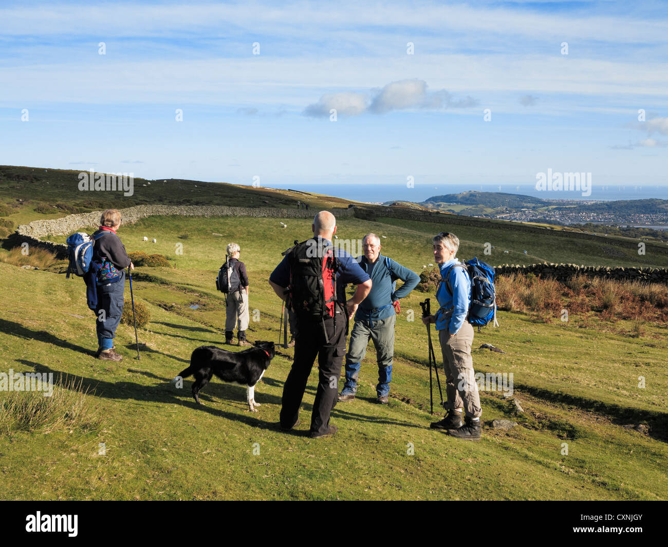 Tal y fan hi-res stock photography and images - Alamy