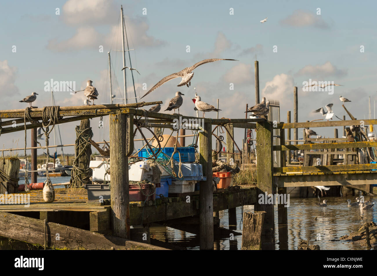 Southwold Harbour scene in Suffolk Stock Photo - Alamy
