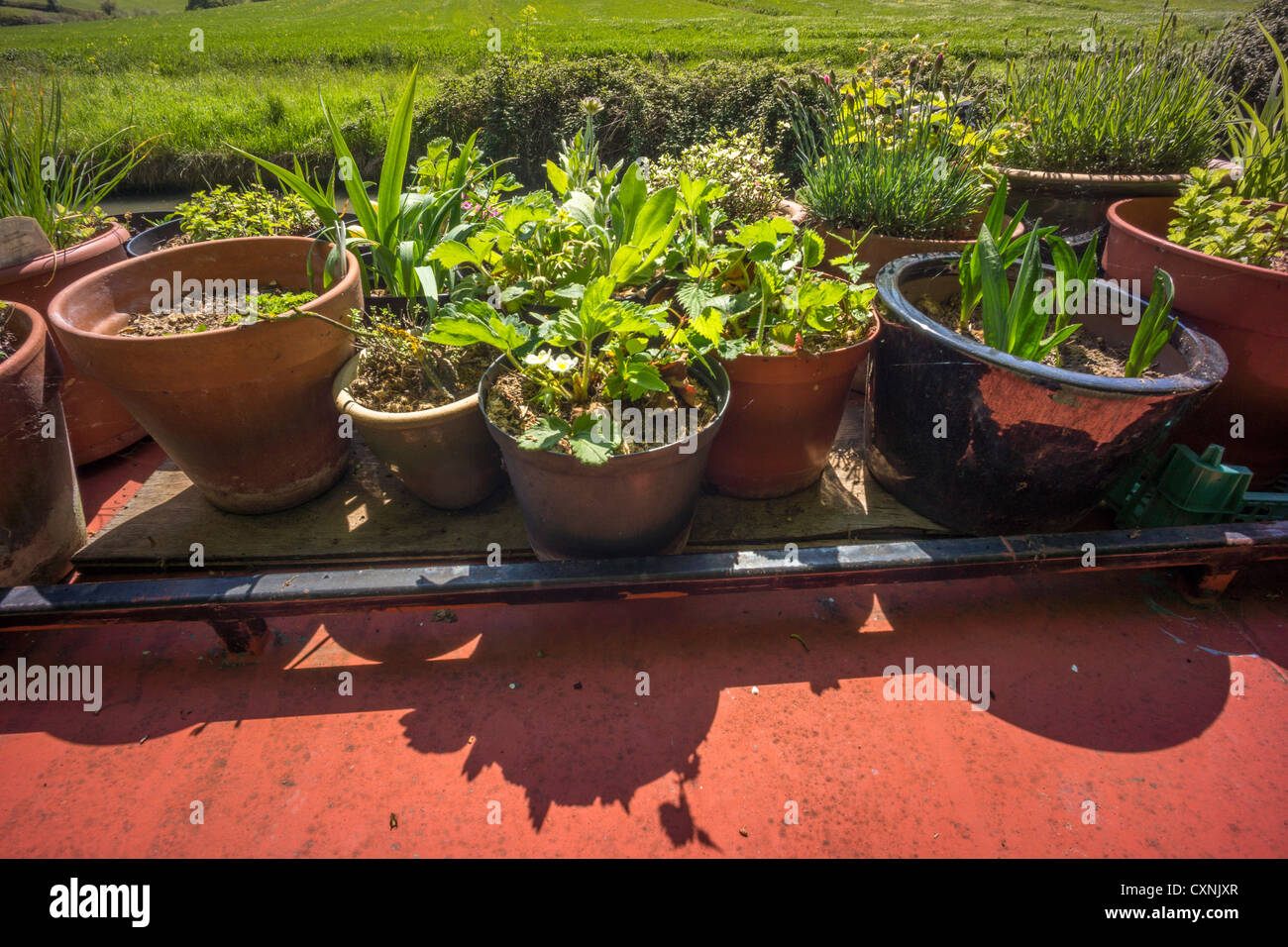 Radford semele canal hi-res stock photography and images - Alamy