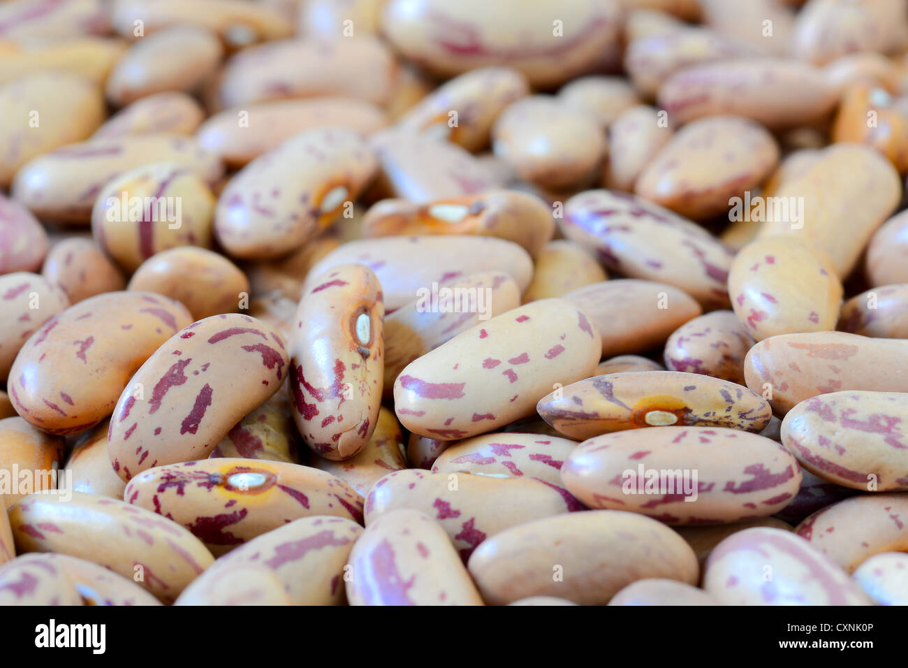 Close-up dry white beans on natural light Stock Photo - Alamy