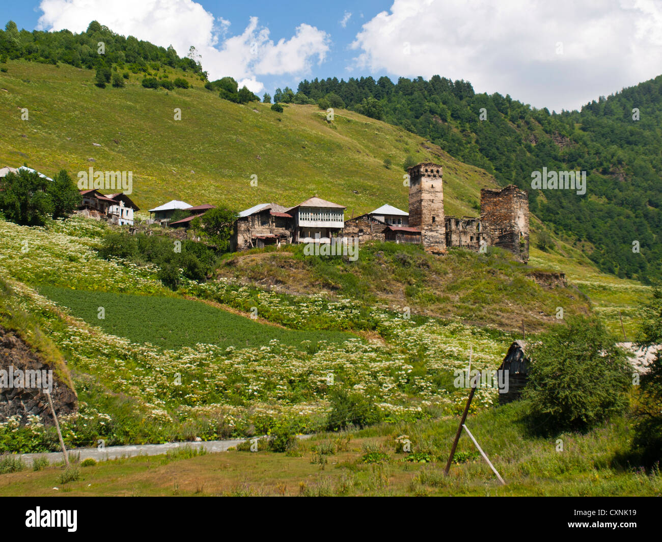 Koshkebi hi-res stock photography and images - Alamy