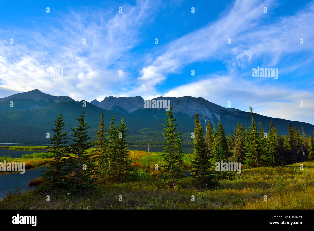 A summer landscape image Stock Photo - Alamy
