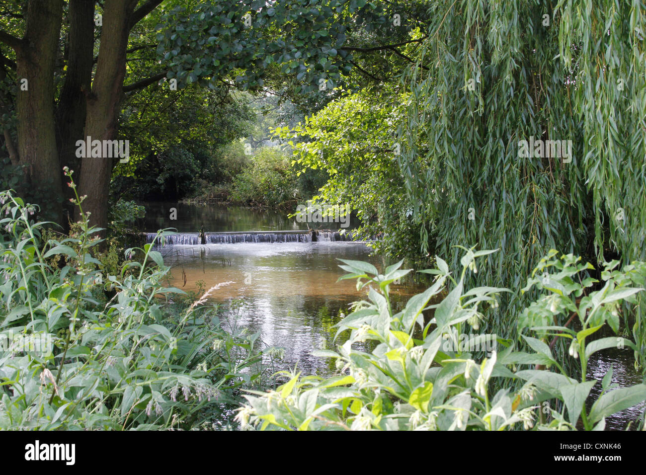 River pang hi-res stock photography and images - Alamy