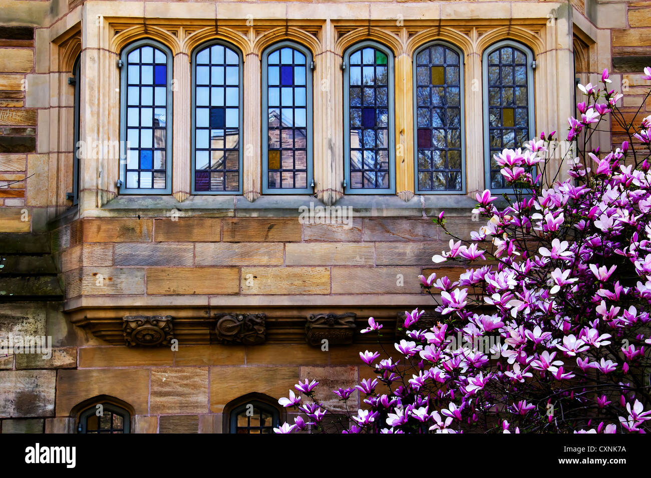 Yale campus hi-res stock photography and images - Alamy