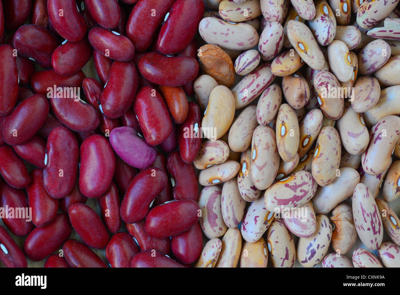 Three red beans on white hi-res stock photography and images - Alamy