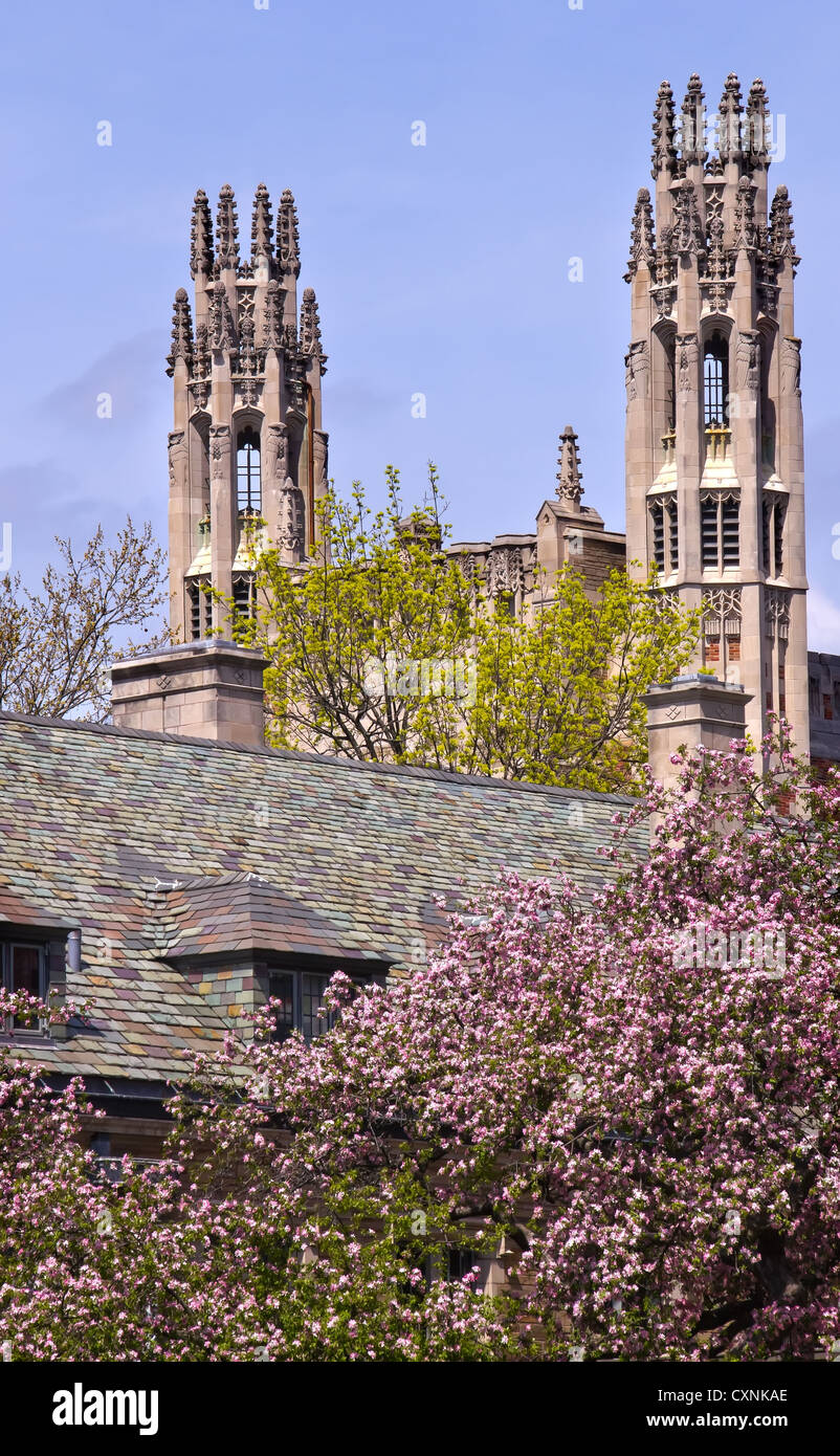 Yale law school campus hi-res stock photography and images - Alamy