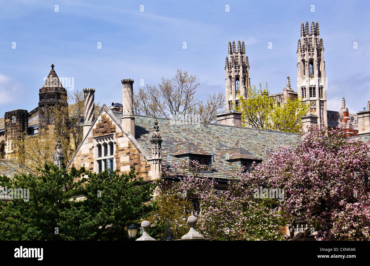 Yale University Sterling Law Building Ornate Victorian Towers New Haven ...