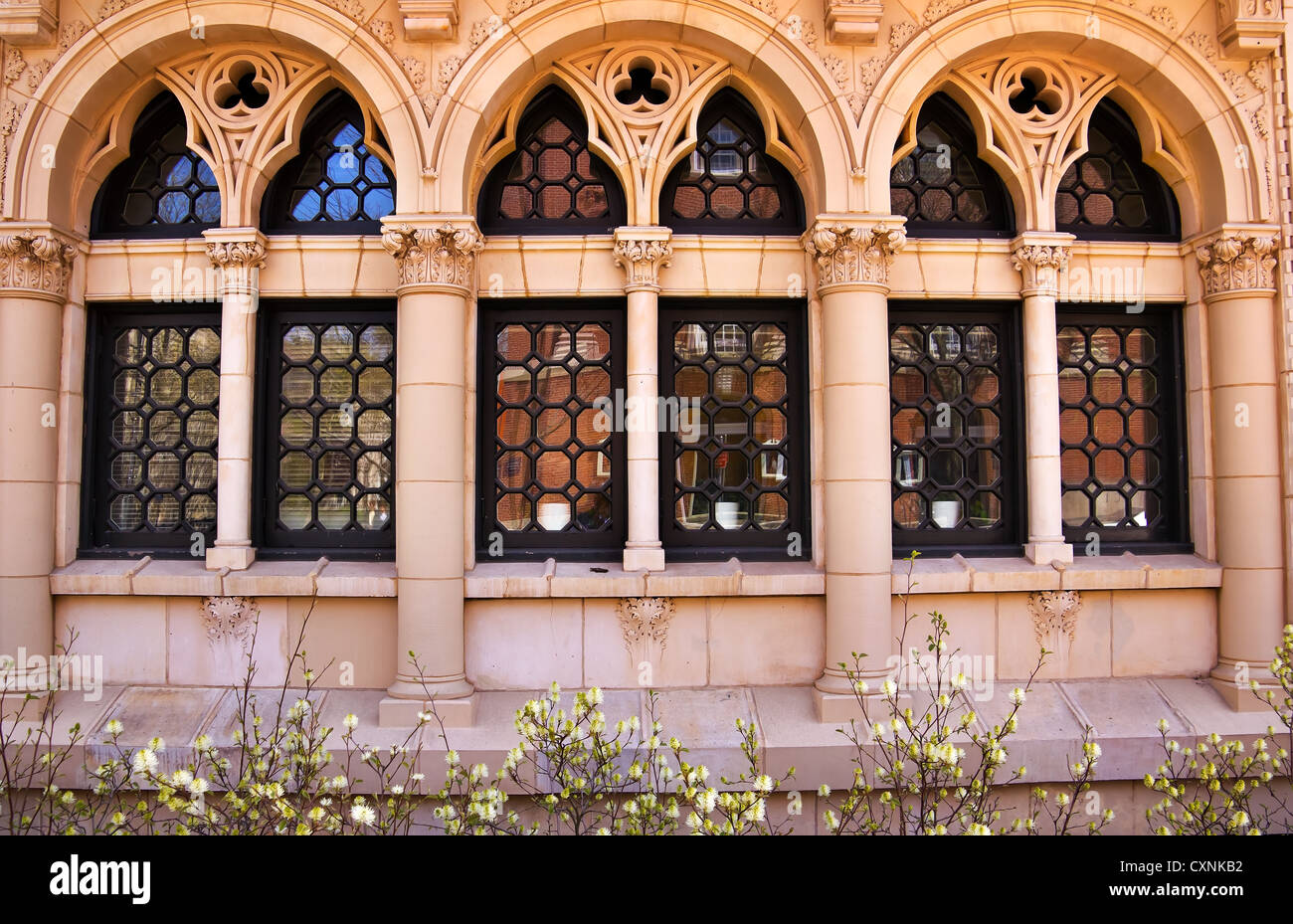 Yale University Ornate Victorian Windows Reflection, New Haven ...