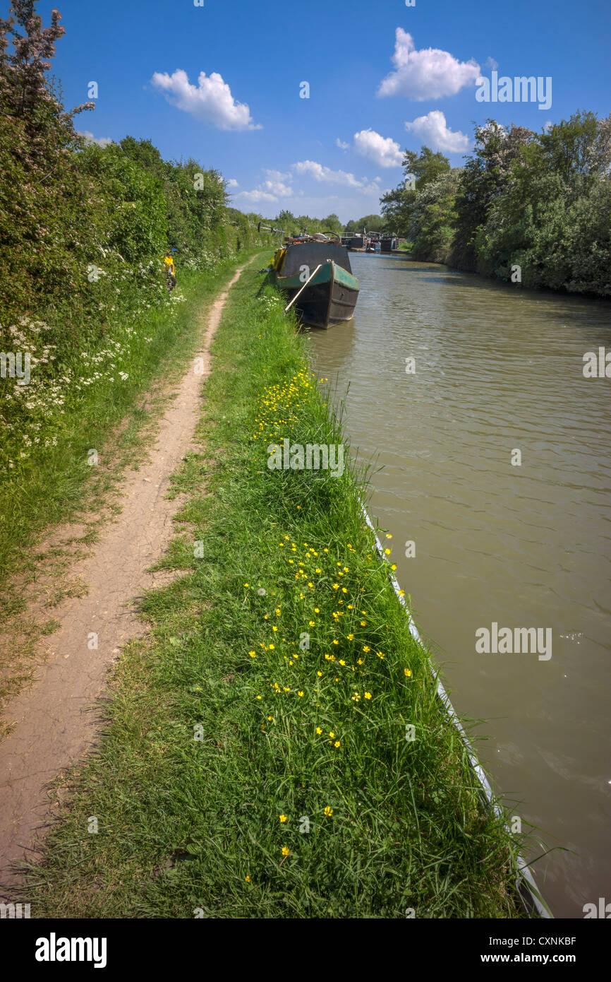 Grand canal greenway hi-res stock photography and images - Alamy