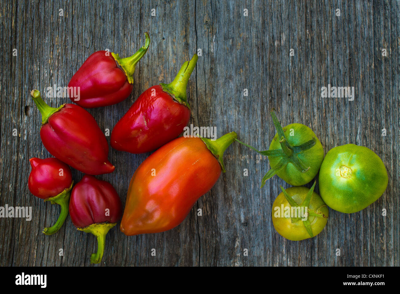 Capsicum and tomato Stock Photo - Alamy