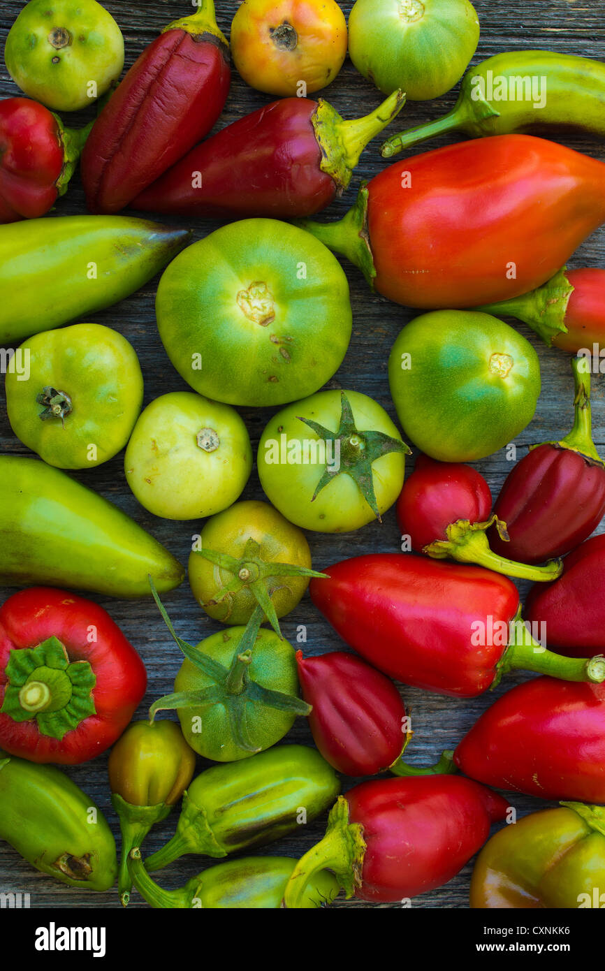 Capsicum and tomato Stock Photo - Alamy