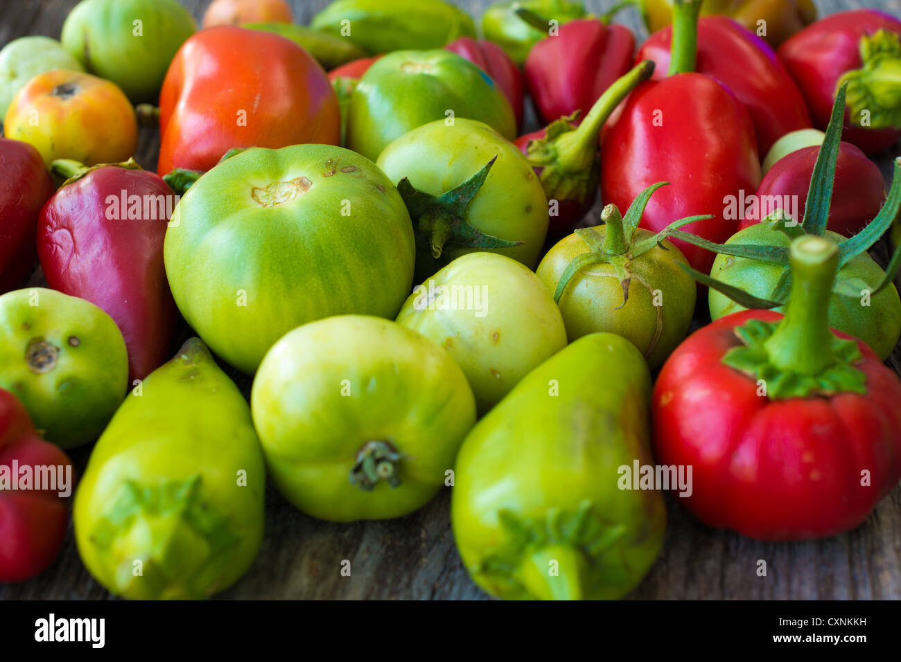 Capsicum and tomato Stock Photo - Alamy