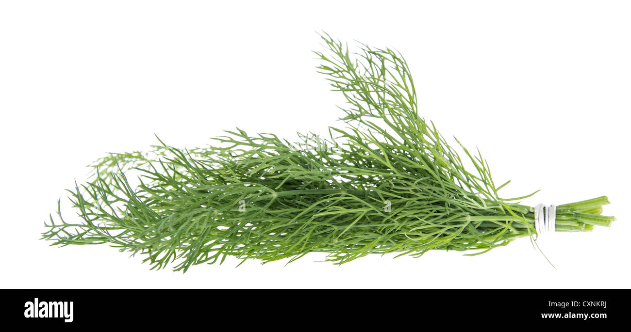Bunch of Dill isolated on white background Stock Photo - Alamy