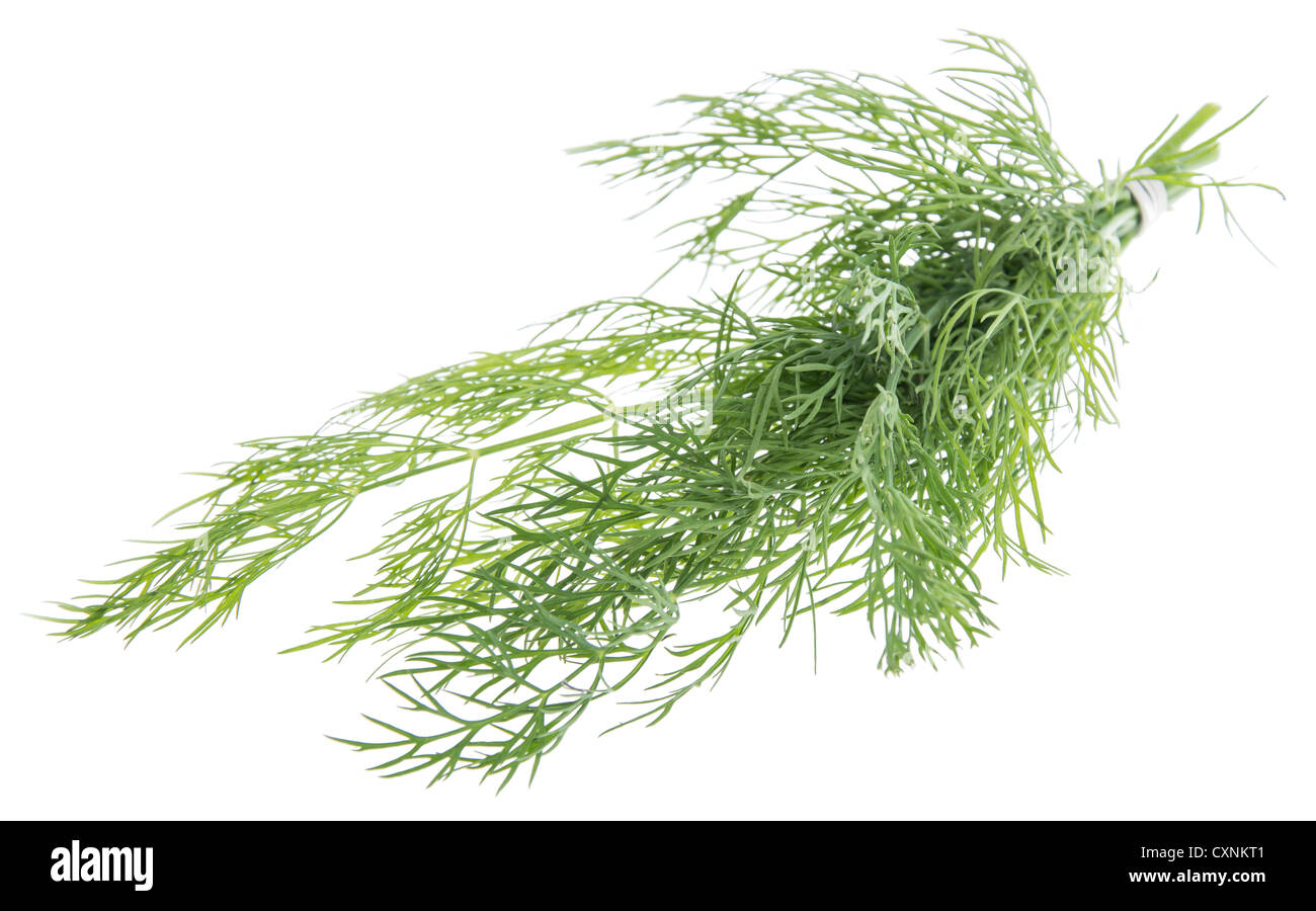 Bunch of Dill isolated on white background Stock Photo - Alamy