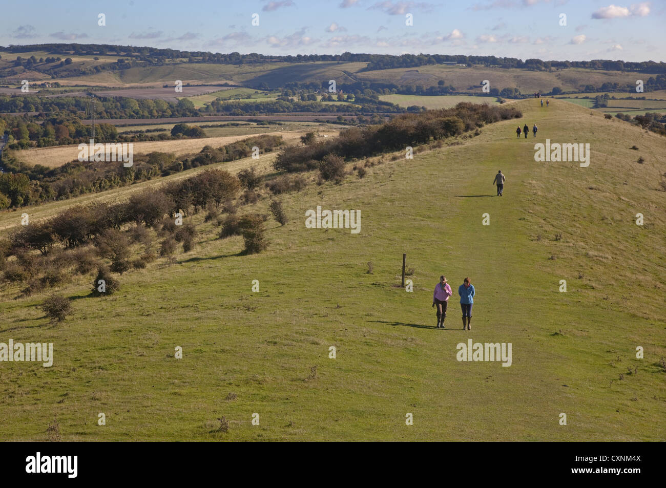 The ridgeway path Ivinghoe Beacon Chilterns Buckinghamshire Stock Photo ...