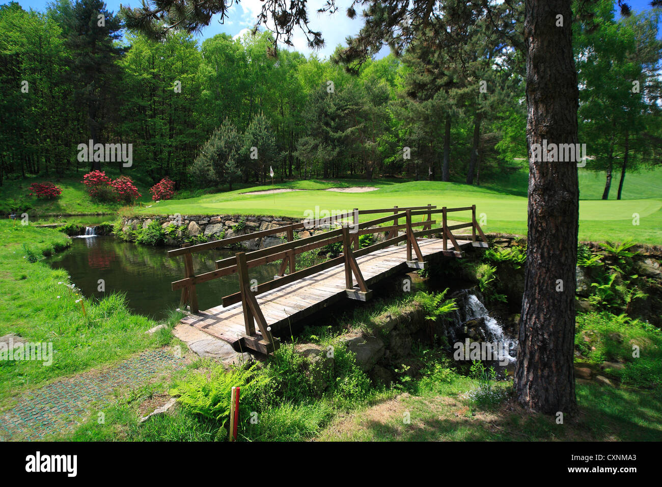 Trees river bridge hi-res stock photography and images - Alamy