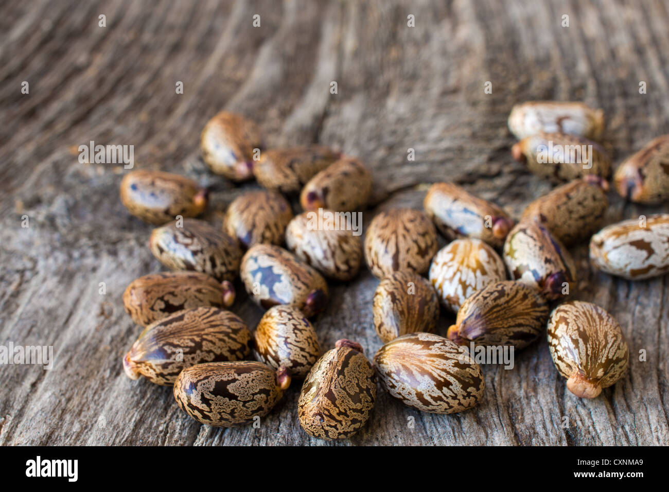 Different coloured beans hi-res stock photography and images - Alamy
