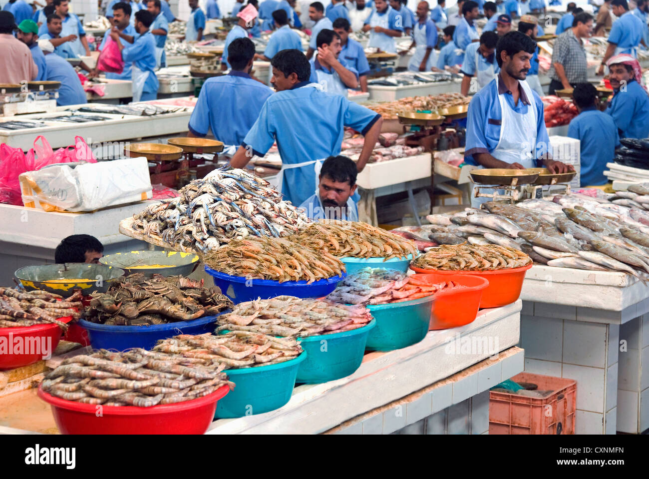 Fish Market, Dubai, United Arab Emirates, Middle East Stock Photo - Alamy