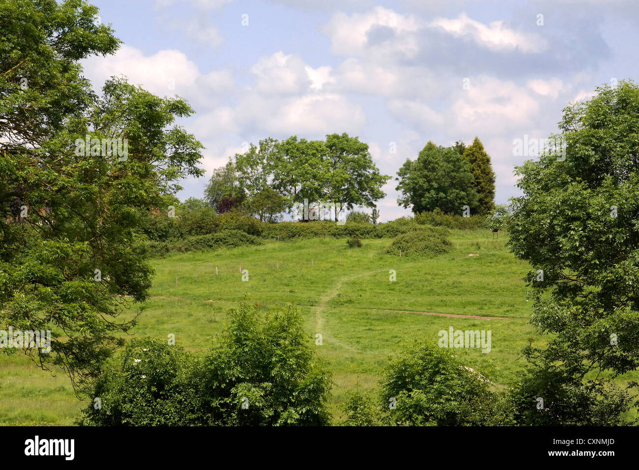 a field in the countryside in a rural environment Stock Photo - Alamy