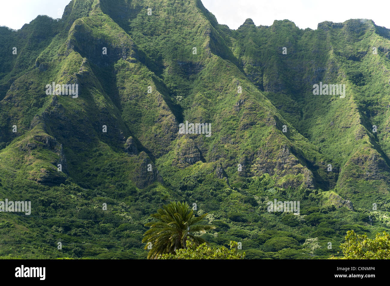 Windward oahu hi-res stock photography and images - Alamy