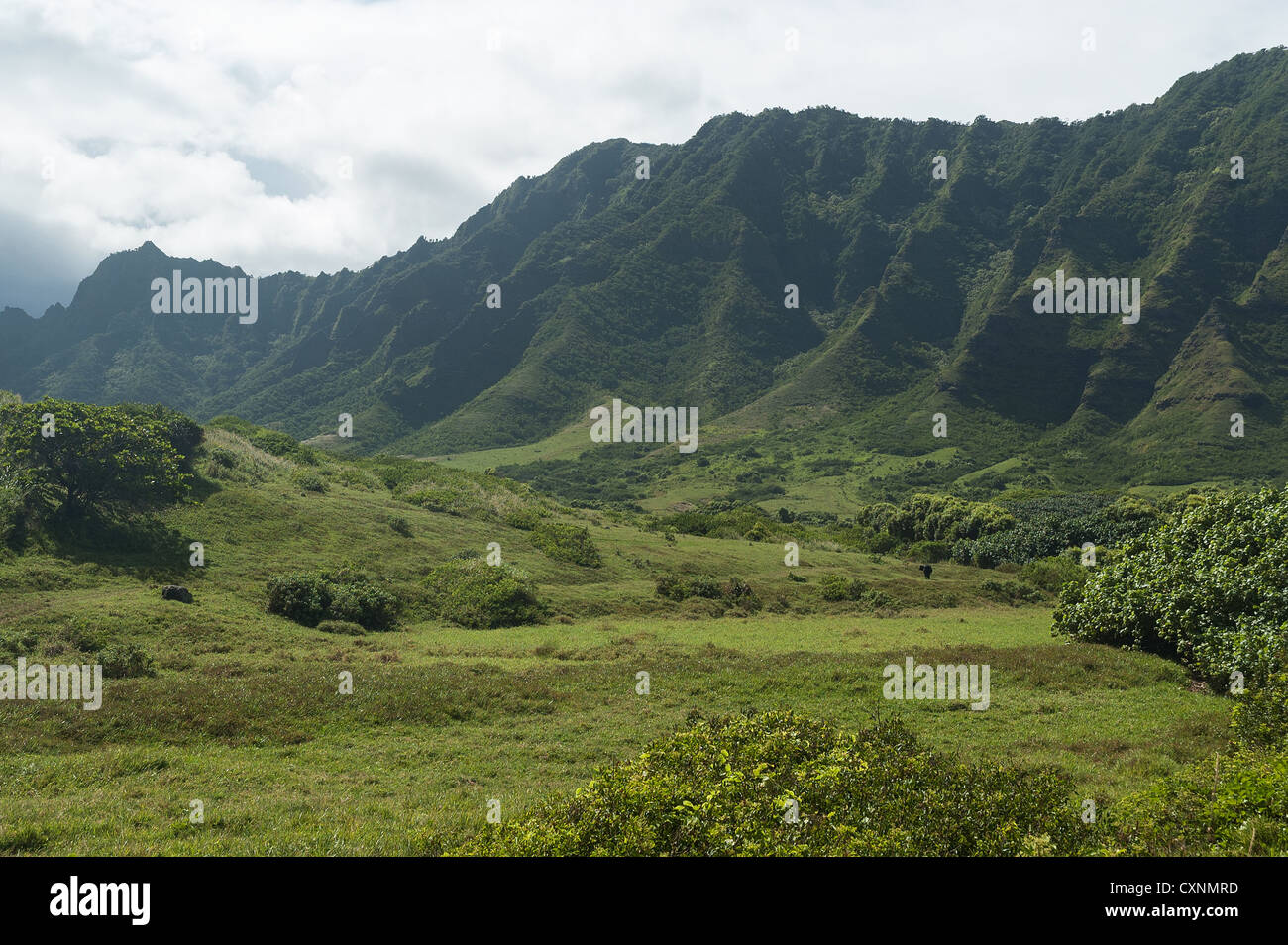 Koolau cliffs oahu hawaii hi-res stock photography and images - Alamy