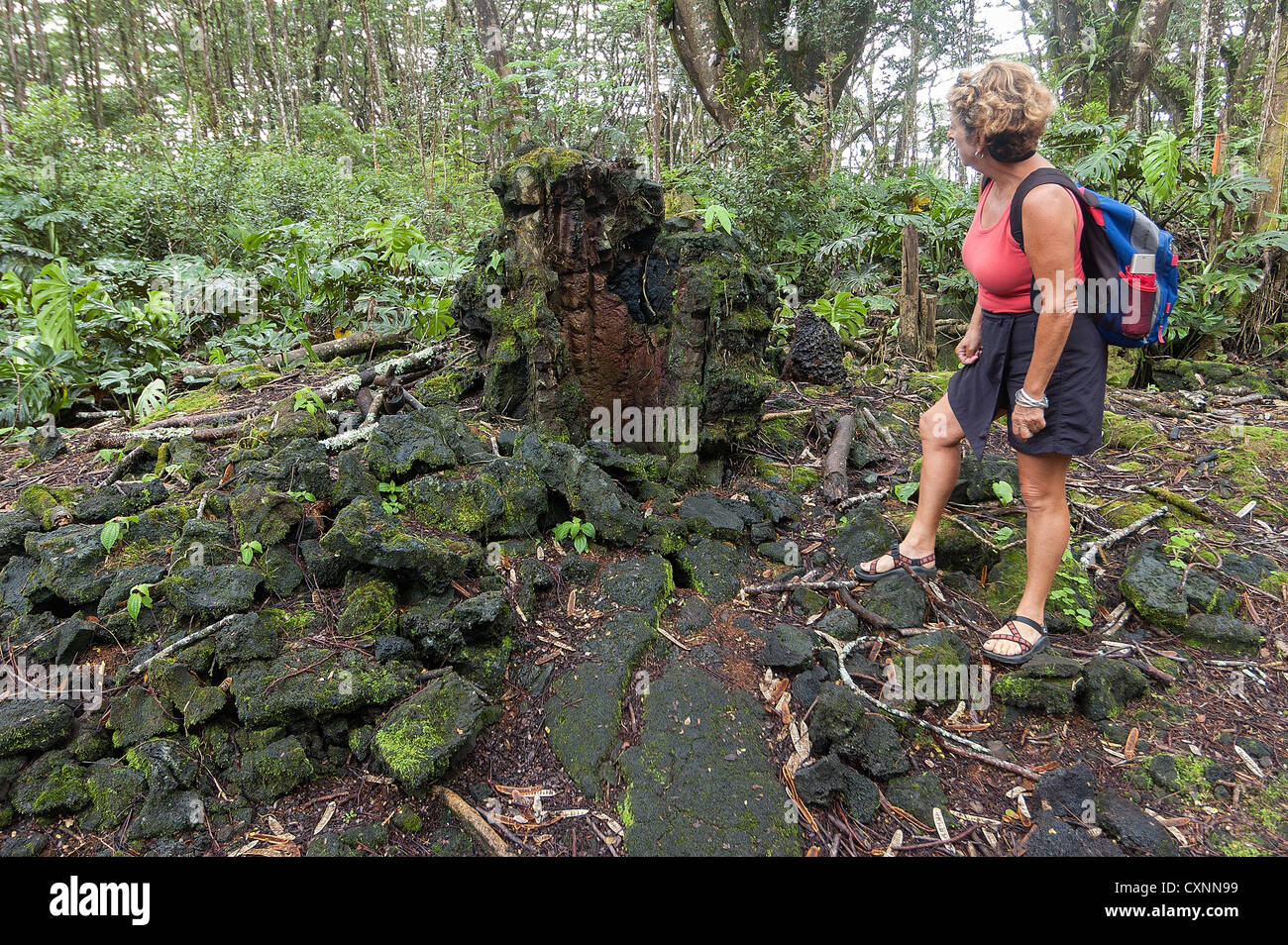 Elk284-2206 Hawaii, Big Island, Puna, Lava Tree State Monument with ...