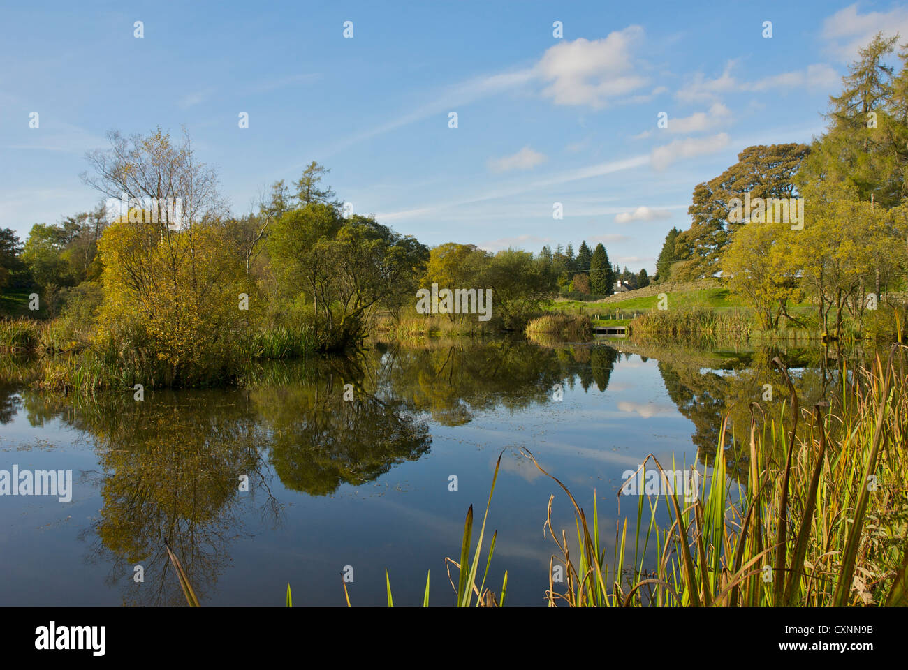Tarn pond hi-res stock photography and images - Alamy
