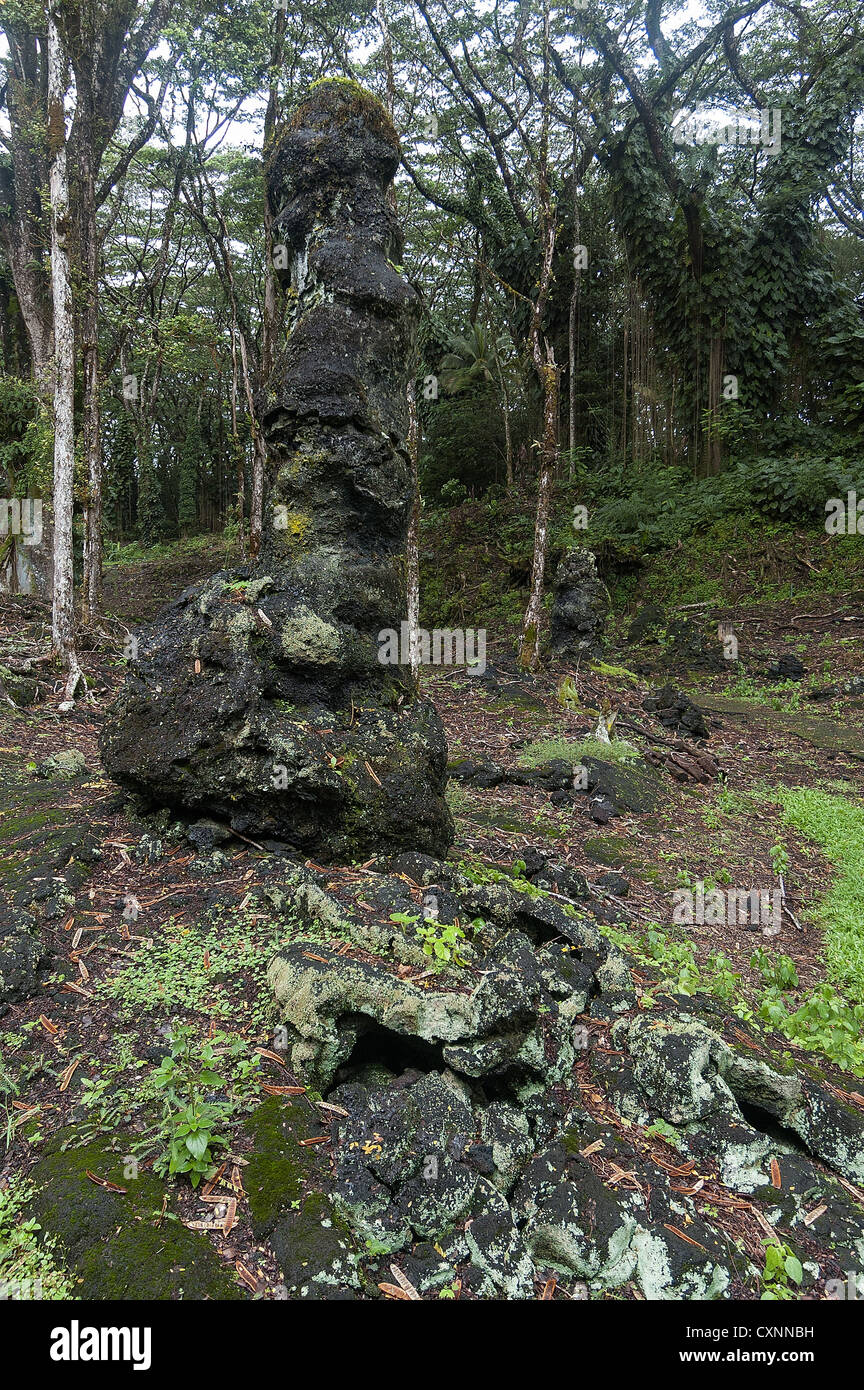 Elk284-2210v Hawaii, Big Island, Puna, Lava Tree State Monument Stock ...
