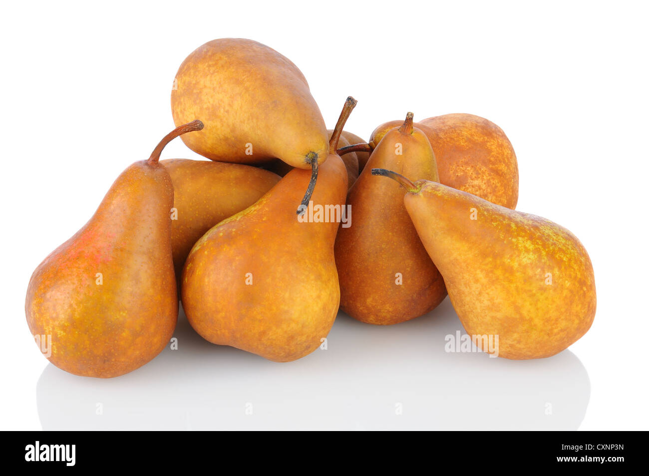 A pile of Bosc pears on a white background. Horizontal format with ...