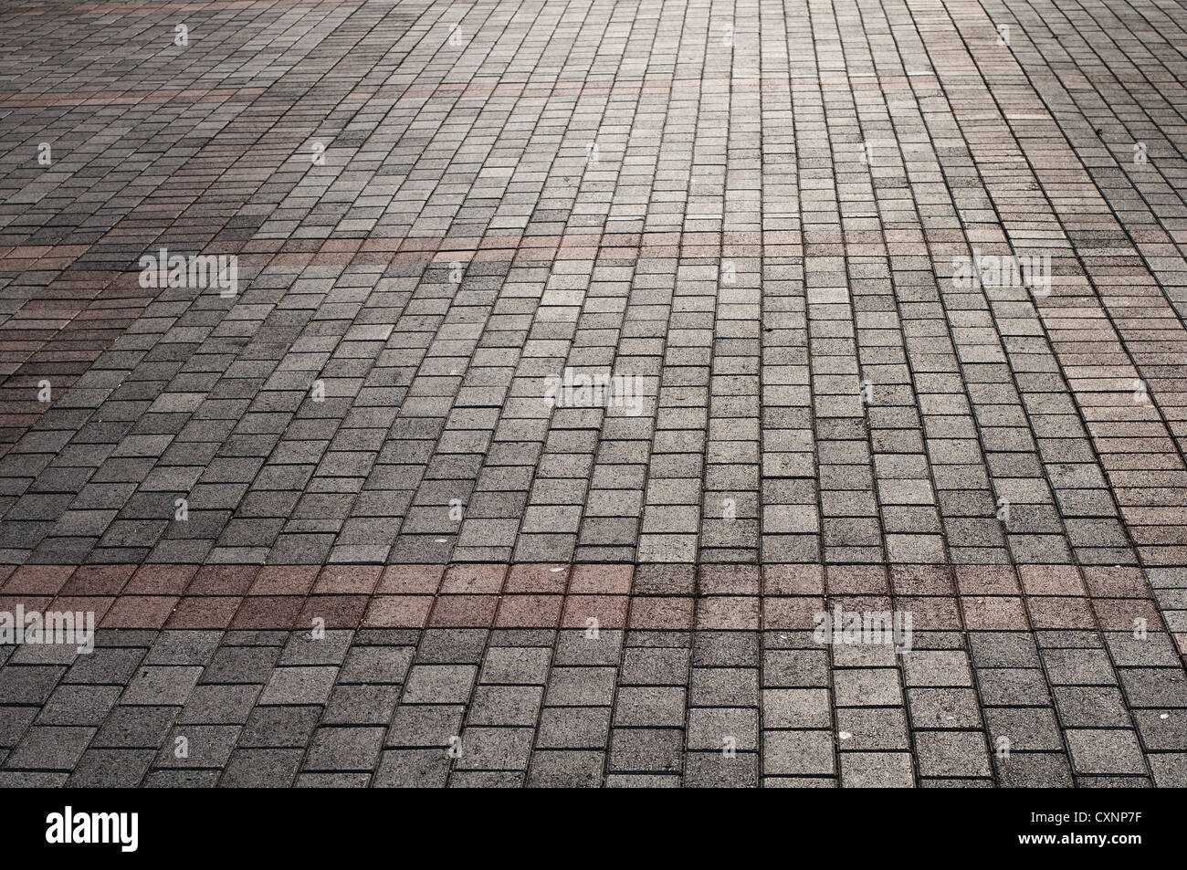 Cobblestone road with color lines in the sunlight Stock Photo - Alamy