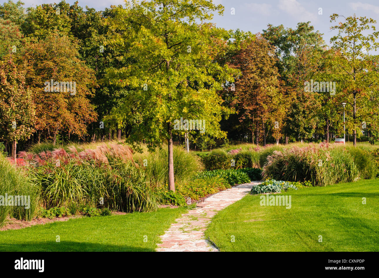 Pathway in the autumn park with colored trees background Stock Photo ...