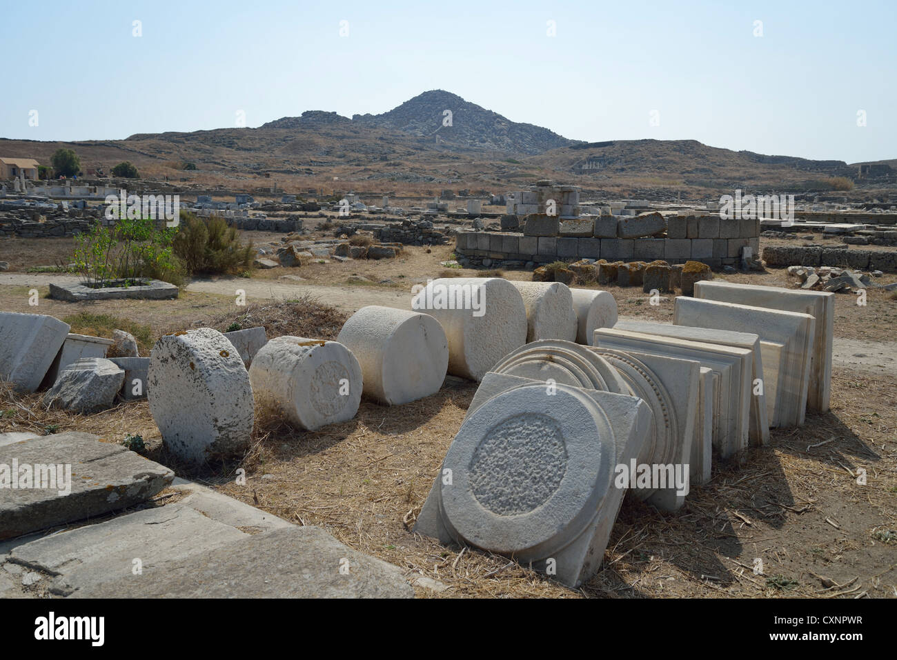 Sections of columns, Archaeological site of Delos, Delos, Cyclades ...