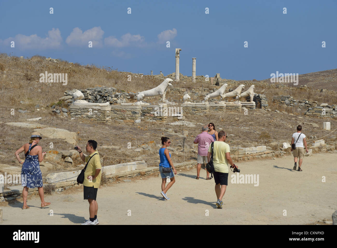 The Terrace of the Lions, Archaeological site of Delos, Delos, Cyclades ...