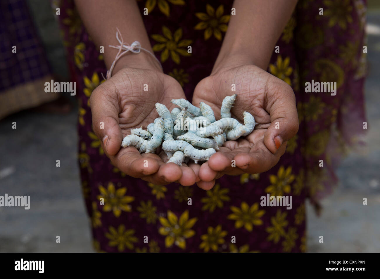 Worms In Hands Stock Photos & Worms In Hands Stock Images - Alamy