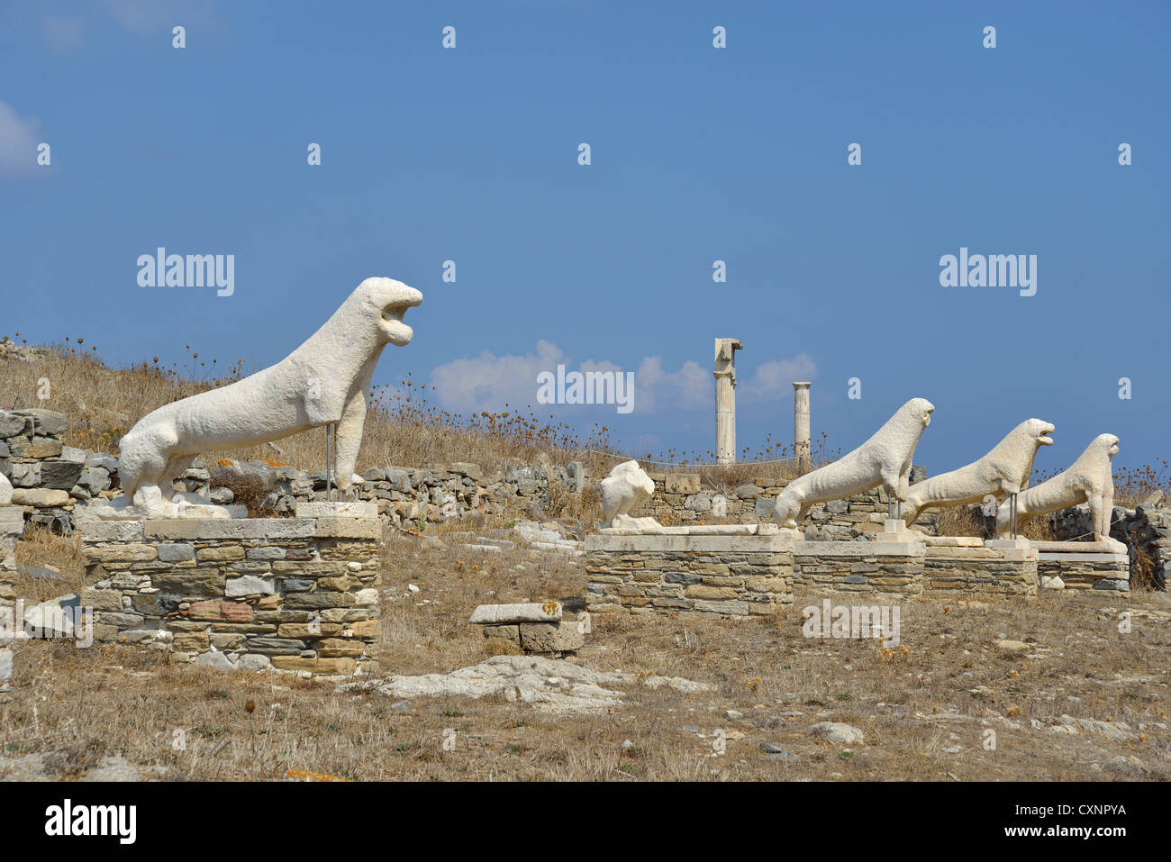 The Terrace of the Lions, Archaeological site of Delos, Delos, Cyclades ...