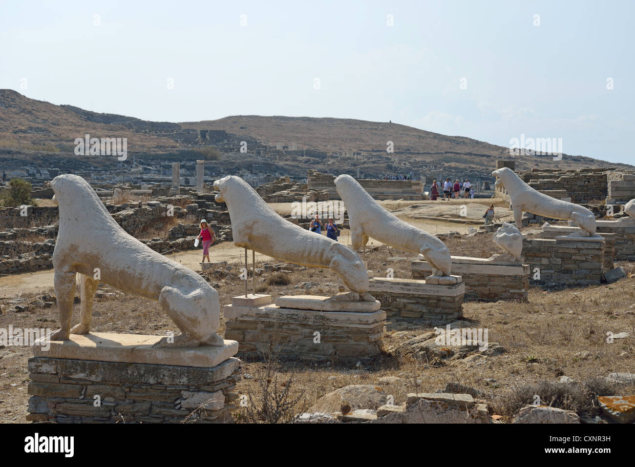 The Terrace of the Lions, Archaeological site of Delos, Delos, Cyclades ...