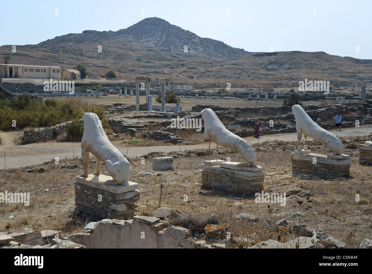 The Terrace of the Lions, Archaeological site of Delos, Delos, Cyclades ...