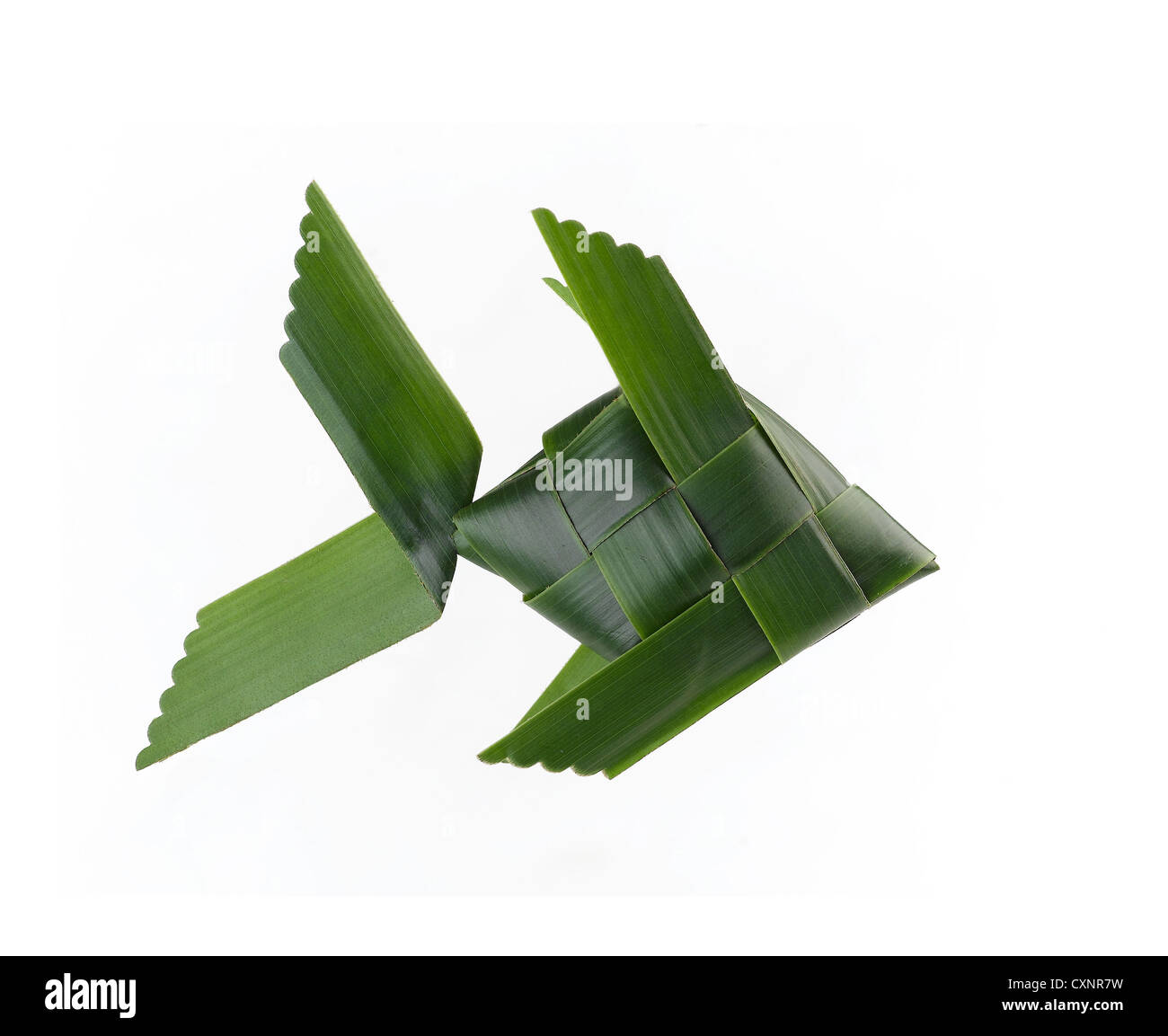 Touch leaf Cut Out Stock Images & Pictures - Alamy