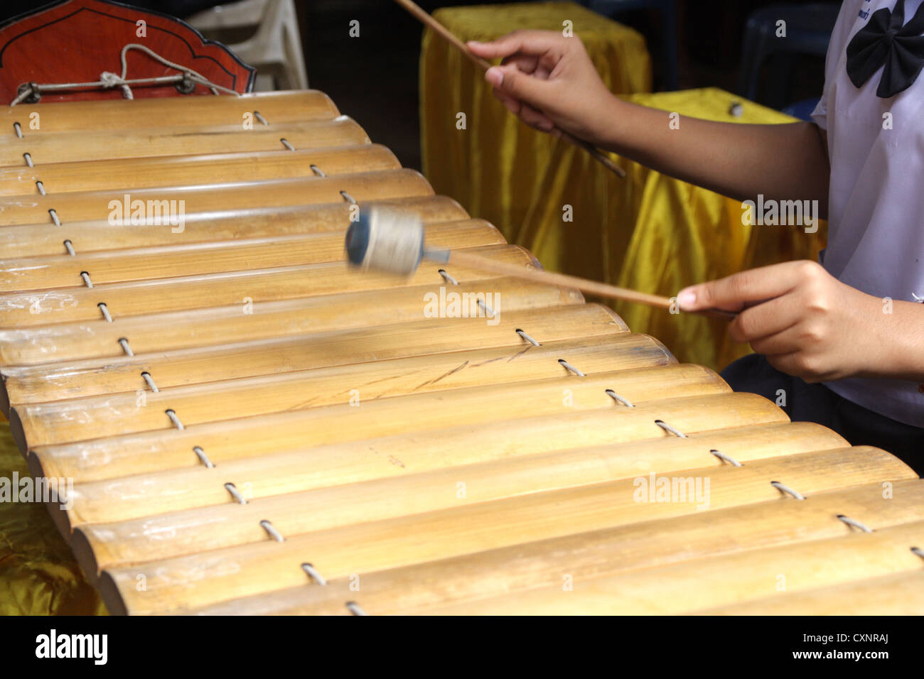 Thai students performing Ranat Ek (traditional Thai xylophone Stock ...