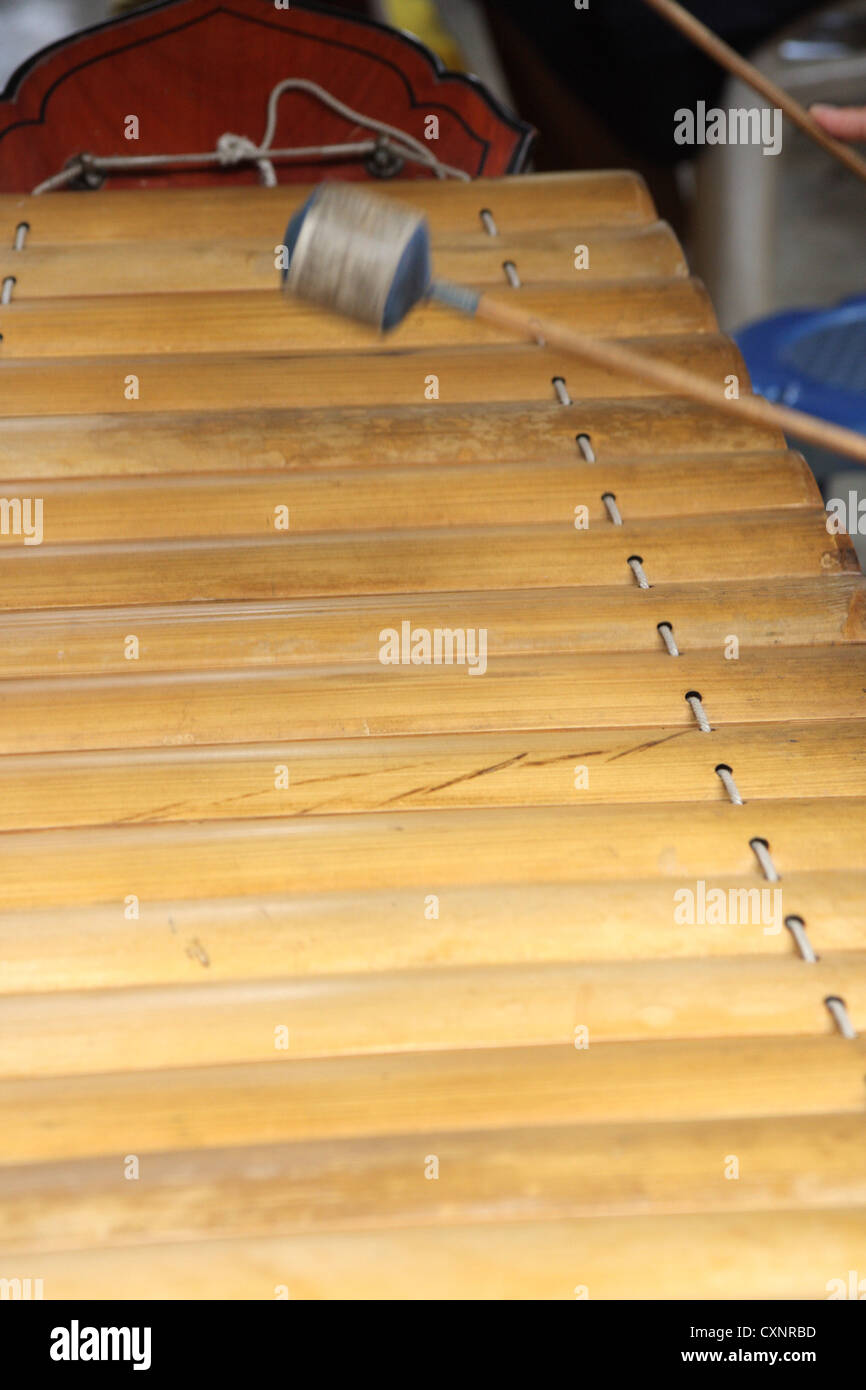 Ranat Ek (traditional Thai xylophone) performing Stock Photo - Alamy