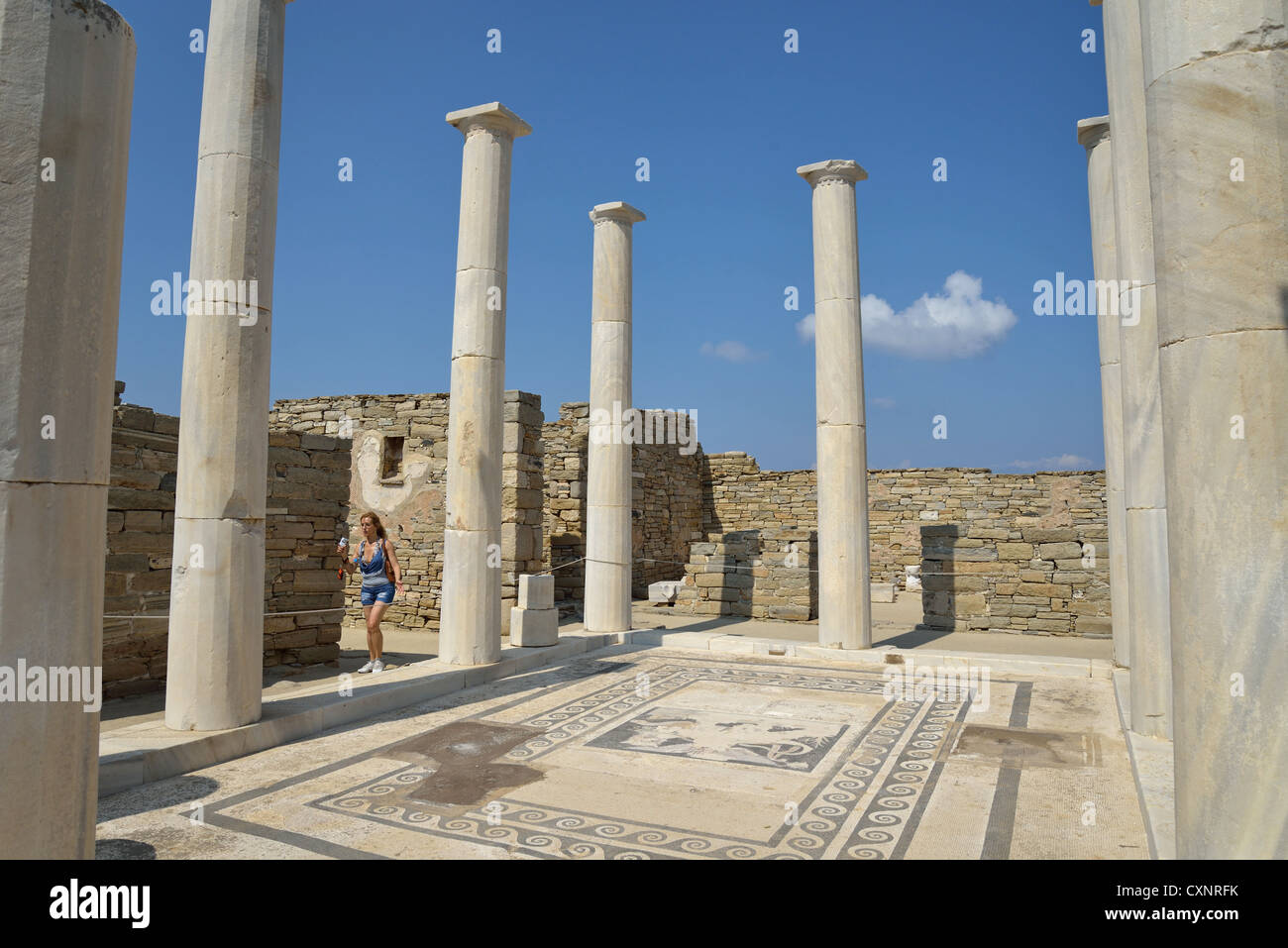 Floor mosaic at House of Dionysos, Archaeological site of Delos, Delos ...